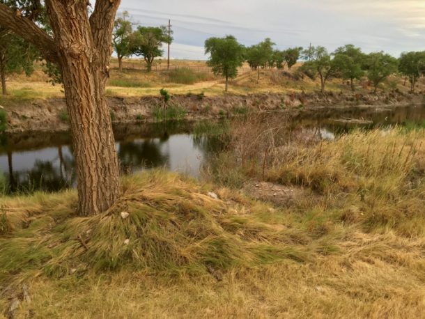 8 First-Rate Cultural Sites in Lubbock, Texas | Backroad Planet