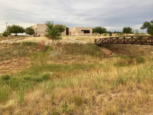 8 First-Rate Cultural Sites in Lubbock, Texas | Backroad Planet