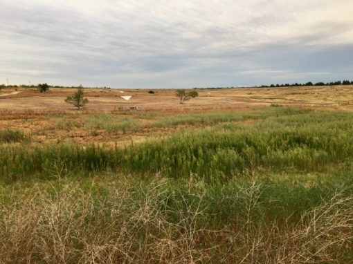 8 First-Rate Cultural Sites in Lubbock, Texas | Backroad Planet