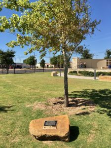 8 First-Rate Cultural Sites in Lubbock, Texas | Backroad Planet