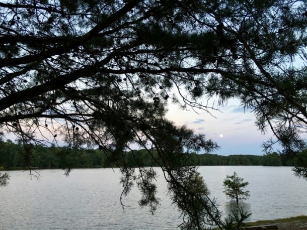 Southern Delaware Outdoor Adventure | Backroad Planet