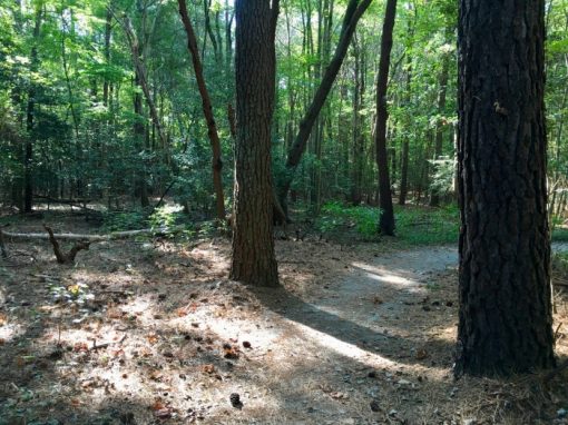 Southern Delaware Outdoor Adventure | Backroad Planet