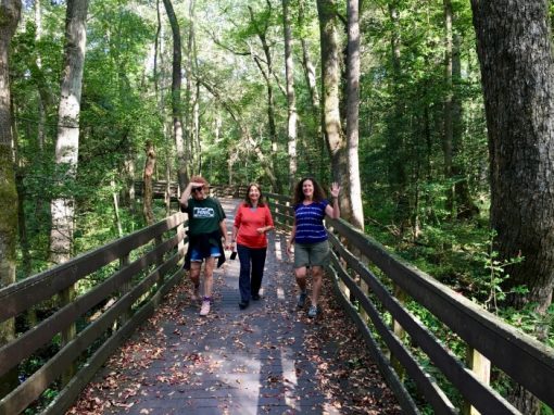 Southern Delaware Outdoor Adventure | Backroad Planet