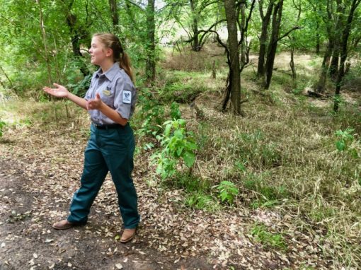 Why Am I Wild about Waco, Texas? | Backroad Planet