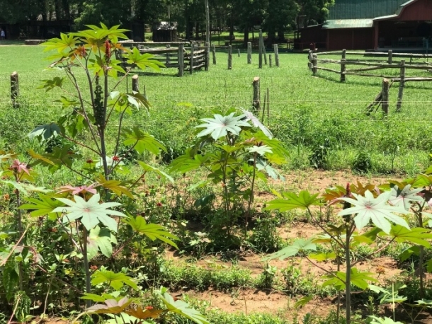 Explore Anderson County Tennessee | Backroad Planet