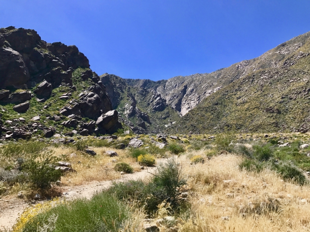 Take a Hike Up Southern California's Tahquitz Canyon | Backroad Planet