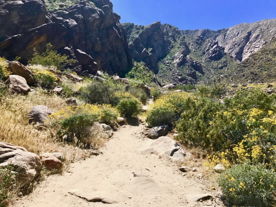 Take a Hike Up Southern California's Tahquitz Canyon | Backroad Planet