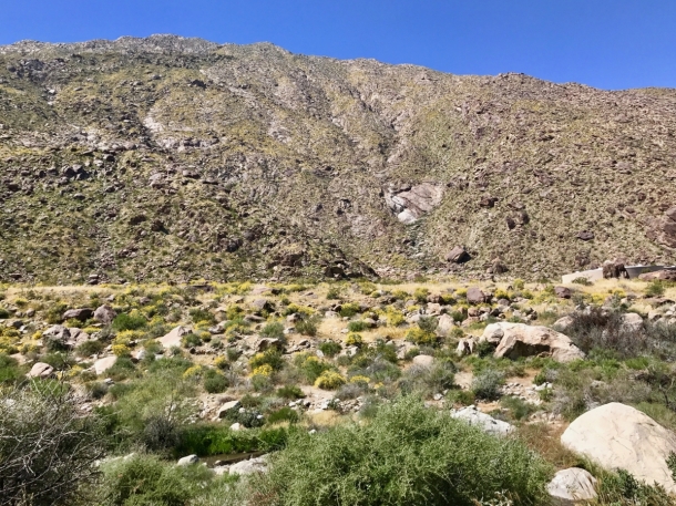 Take a Hike Up Southern California's Tahquitz Canyon | Backroad Planet