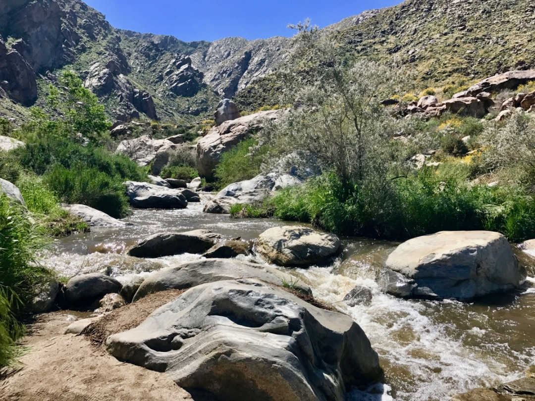 Take a Hike Up Southern California's Tahquitz Canyon | Backroad Planet