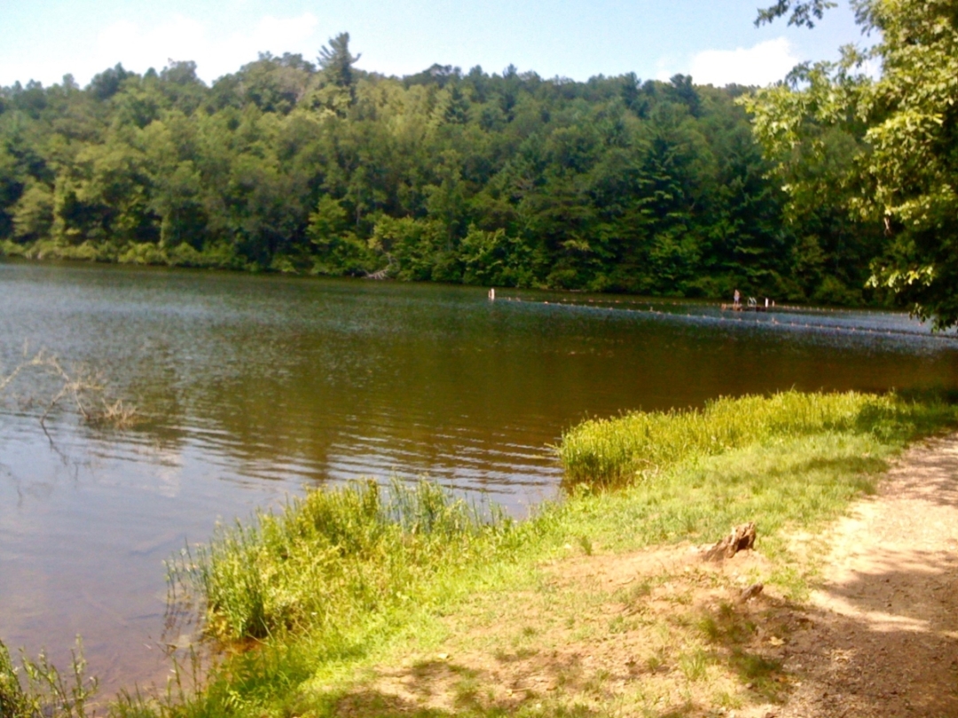 North Georgia Swimming Holes & Waterfalls You Can Swim In